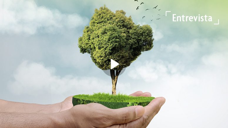 Desafíos Ambientales En América Latina Sostenibilidad Y Medio Ambiente